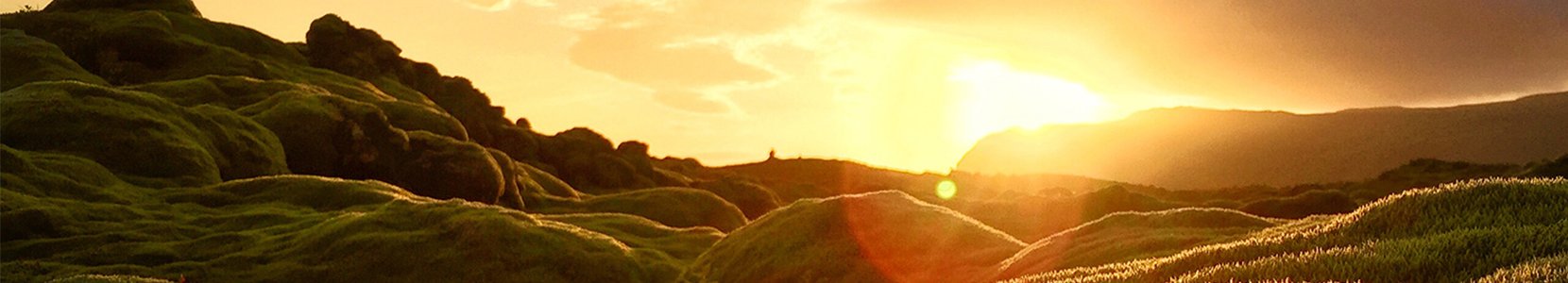 Flat Able - Premium Admin Template by Phoenixcoded